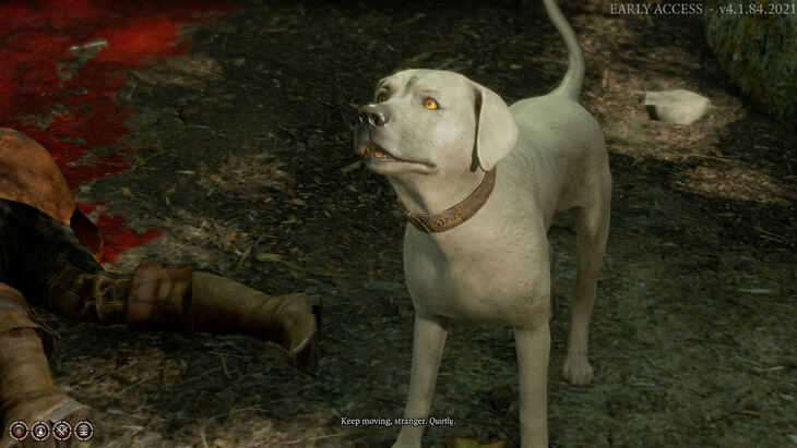 Baldur's Gate 3 – Pets Guide - Neoseeker