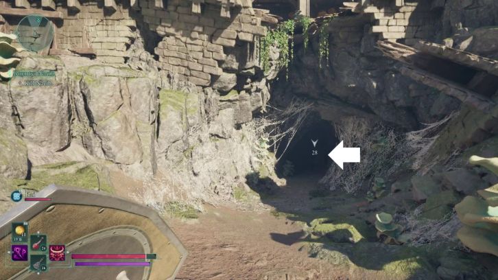 Avowed - Bounty: Nacib Walkthrough - Neoseeker