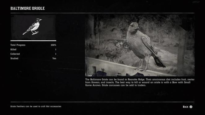 Hunting Page 6 - Red Dead Redemption 2 Walkthrough - Neoseeker