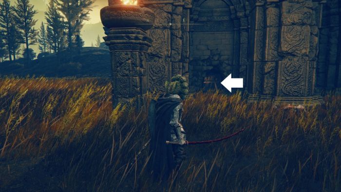 Shadow of the Erdtree - Ruined Forge of Starfall Past Walkthrough ...