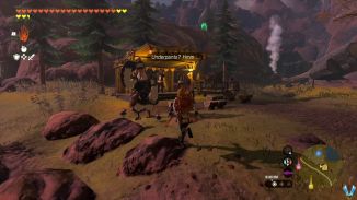 Tears of the Kingdom - For Our Princess! Walkthrough - The Legend of Zelda: Tears of the Kingdom ...