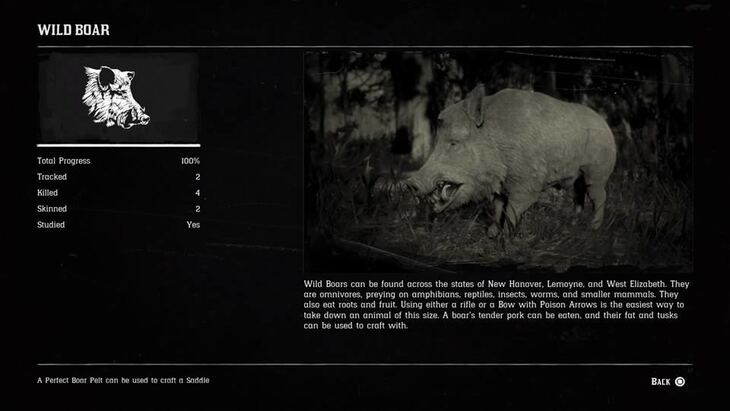 Hunting Page 1 - Red Dead Redemption 2 Walkthrough - Neoseeker