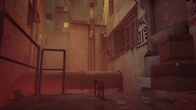 Rooftops - Stray (2022) Walkthrough and Guide - Neoseeker