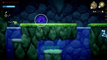 Chaos at the River Zora Village - The Legend of Zelda: Echoes of Wisdom ...