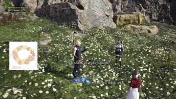 Side Quest: Flowers from the Hill - Final Fantasy VII Rebirth ...