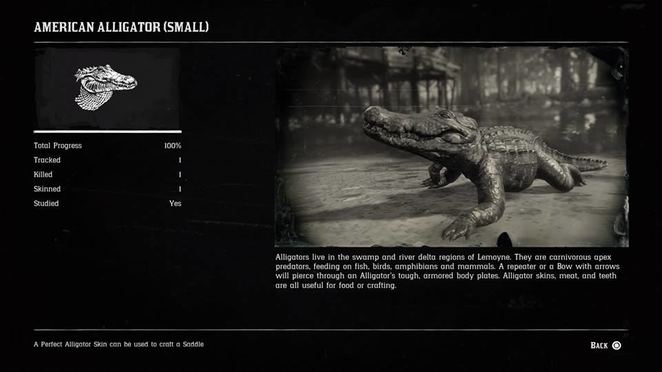 Hunting Page 1 - Red Dead Redemption 2 Walkthrough - Neoseeker