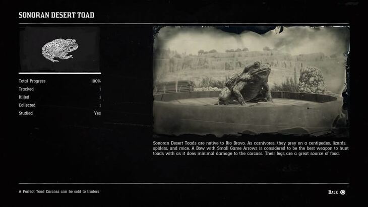 Hunting Page 11 - Red Dead Redemption 2 Walkthrough - Neoseeker