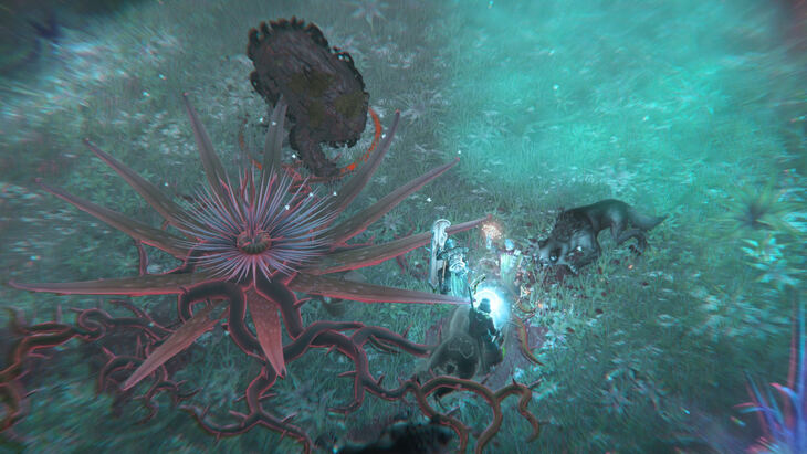 Pathfinder: Kingmaker – Season of Bloom Walkthrough - Neoseeker