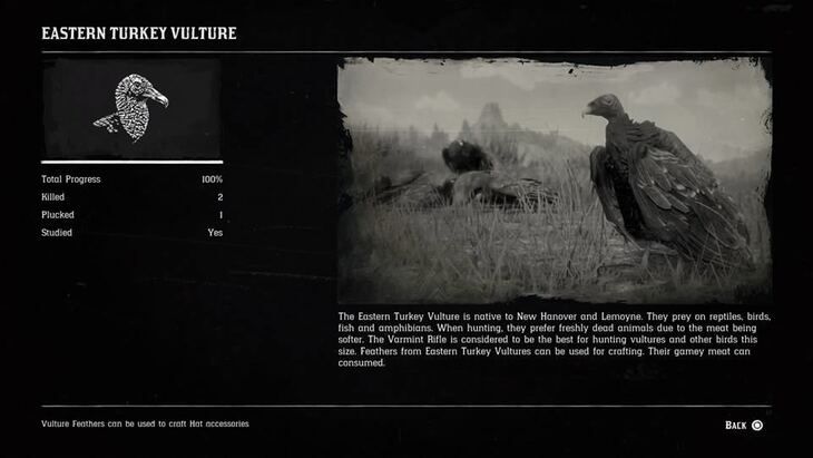 Hunting Page 11 - Red Dead Redemption 2 Walkthrough - Neoseeker