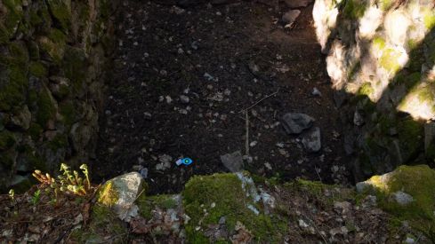 Wolf Pit - The Game Maker Walkthrough - Neoseeker