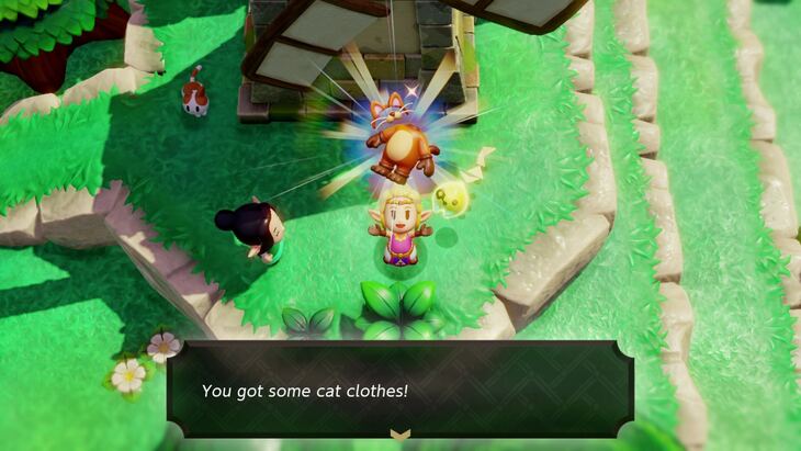 Side Quest: Questioning the Local Cats - The Legend of Zelda: Echoes of ...
