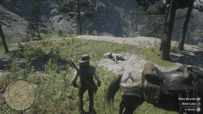 The Veteran Walkthrough - Red Dead Redemption 2 - Neoseeker