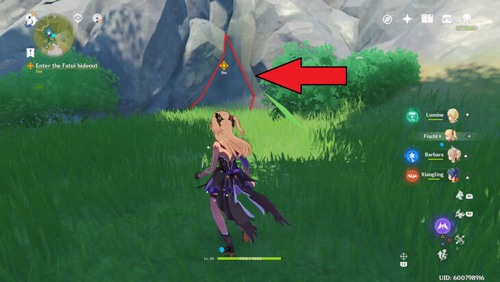 Genshin Impact - Chasing Shadows Walkthrough - Neoseeker