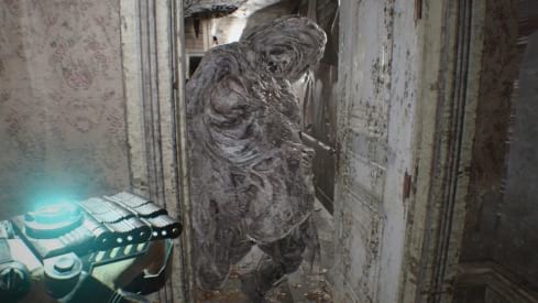 RE7 End of Zoe - Swamp Guide - Resident Evil 7 biohazard - End of Zoe ...