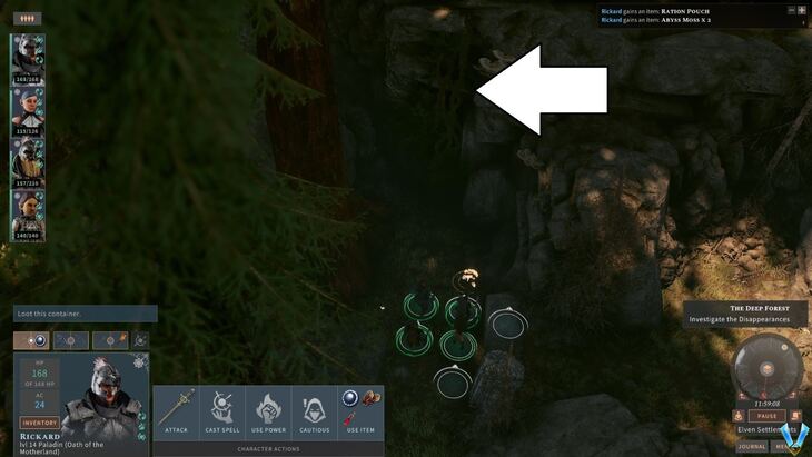 Solasta - The Deep Forest Walkthrough - Solasta: Crown of the Magister ...