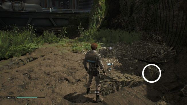 Kashyyyk - Free the Wookies - Star Wars: Jedi Fallen Order Walkthrough ...
