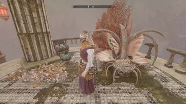 Distance and Meaning Quest Guide - Tainted Grail: The Fall of Avalon ...