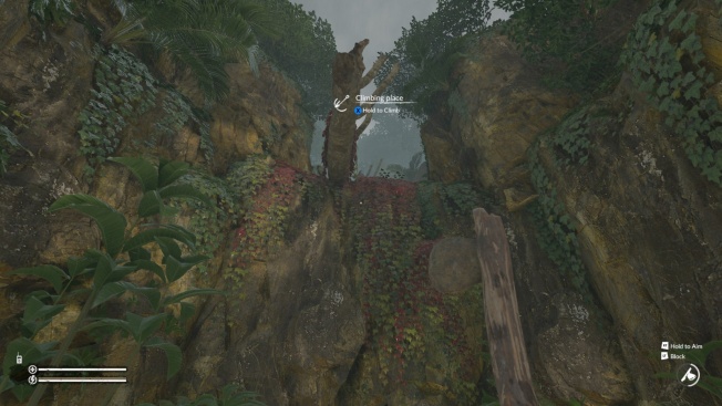 Creating the Third Brew - Green Hell Walkthrough - Neoseeker