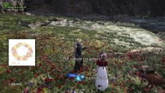 Side Quest: Flowers from the Hill - Final Fantasy VII Rebirth ...