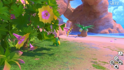 Beach - Day - New Pokémon Snap Walkthrough - Neoseeker