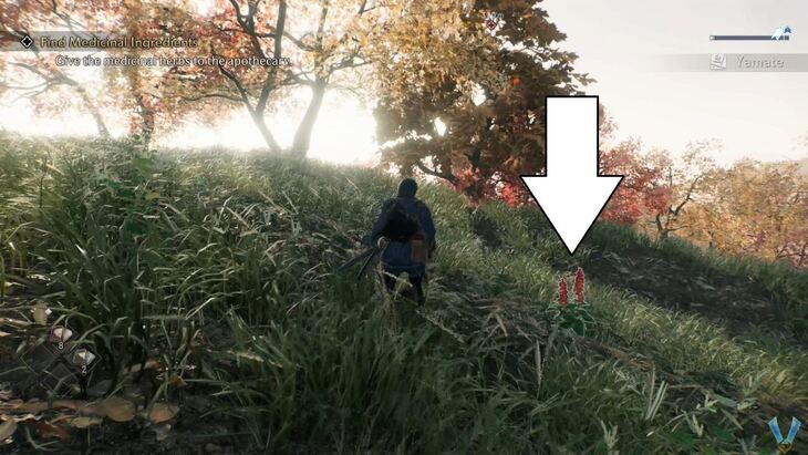 Grass Roots Mission - Find Medicinal Ingredients - Rise of the Ronin ...