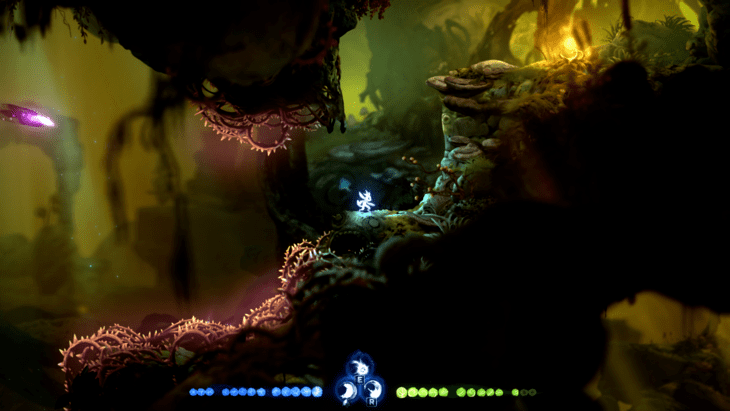 midnight burrows tree