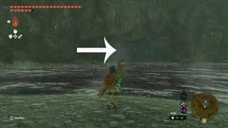 Tears of the Kingdom - Tokiy Shrine Walkthrough - The Legend of Zelda ...