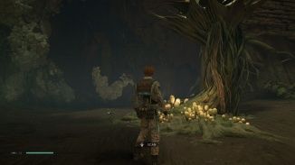 Kashyyyk - Climb the Origin Tree - Star Wars: Jedi Fallen Order ...