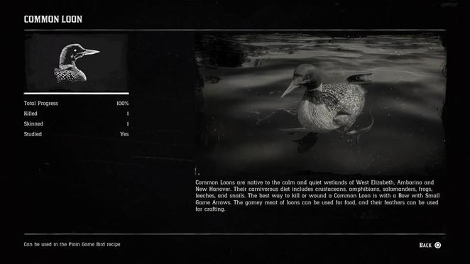 Hunting Page 6 - Red Dead Redemption 2 Walkthrough - Neoseeker