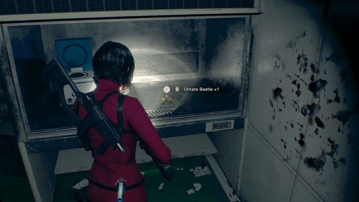 beautiful beetles request