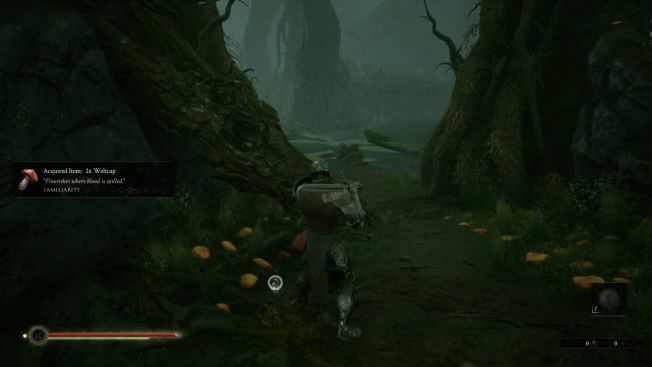 Walkthrough: Fallgrim - Mortal Shell - Neoseeker