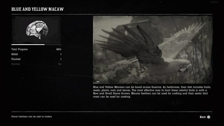 Hunting Page 7 - Red Dead Redemption 2 Walkthrough - Neoseeker