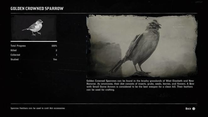 Hunting Page 10 - Red Dead Redemption 2 Walkthrough - Neoseeker