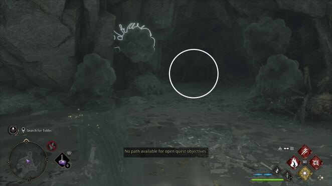 The Plight of the House-Elf - Hogwarts Legacy Walkthrough - Neoseeker