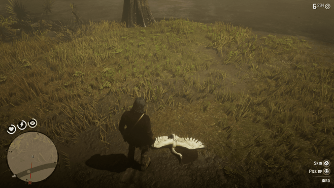 Exotics Collectibles - Red Dead Redemption 2 Walkthrough - Neoseeker