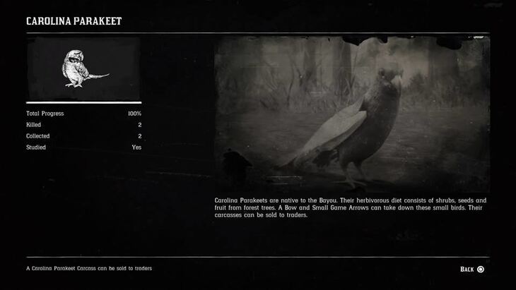 Hunting Page 7 - Red Dead Redemption 2 Walkthrough - Neoseeker