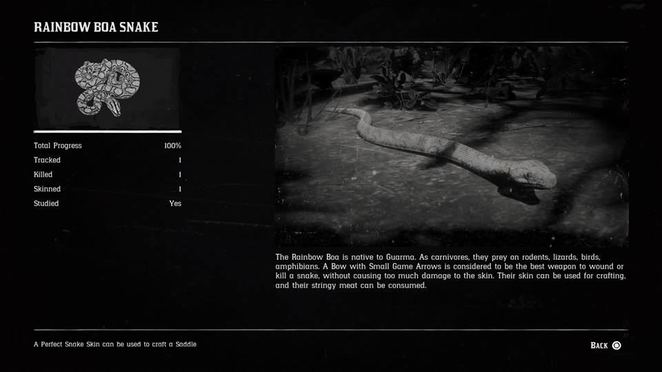 Hunting Page 9 - Red Dead Redemption 2 Walkthrough - Neoseeker