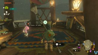 Tears of the Kingdom - Molli the Fletcher's Quest Walkthrough - The Legend of Zelda: Tears of ...