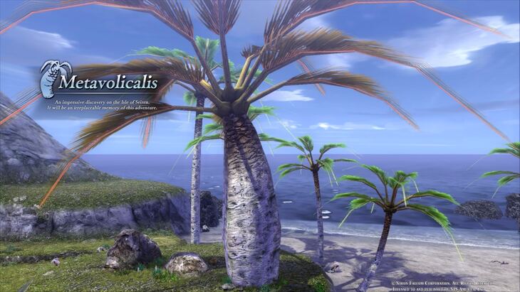 Distant Roar Shore - Ys VIII: Lacrimosa of DANA Walkthrough - Neoseeker