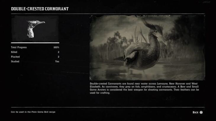 Hunting Page 3 - Red Dead Redemption 2 Walkthrough - Neoseeker