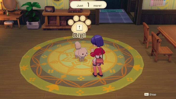 Story of Seasons: Grand Bazaar Animals Guide - Neoseeker