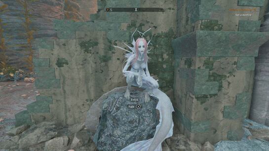 What The Water Gave Me Quest Guide - Tainted Grail: The Fall of Avalon ...