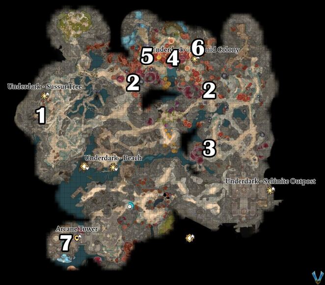 Bg3 Act map Discounts Price Deborahsilvermusic