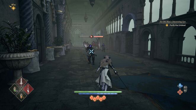 An Old Man's Discerning Eye Subquest Guide - Valkyrie Elysium - Neoseeker