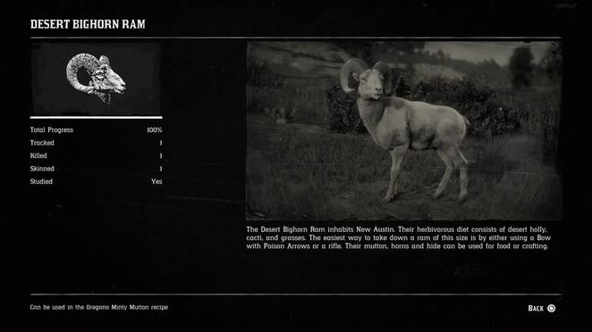 Hunting Page 8 - Red Dead Redemption 2 Walkthrough - Neoseeker