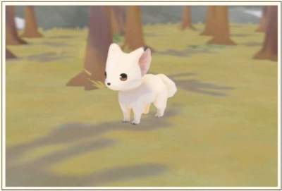 Story of Seasons: Pioneers of Olive Town - Wildlife Guide - Neoseeker
