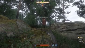 Portrait in Red Guide - Kingdom Come: Deliverance II - Neoseeker