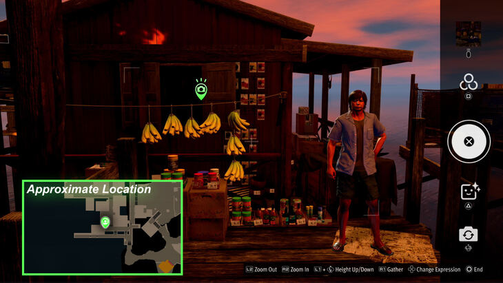 Alo-Happy Photo Landmarks Guide - Rich Island - Like a Dragon: Pirate ...