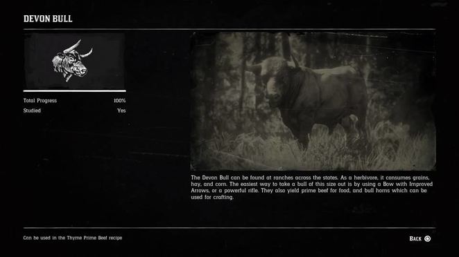 Hunting Page 1 - Red Dead Redemption 2 Walkthrough - Neoseeker