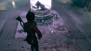 beautiful beetles request